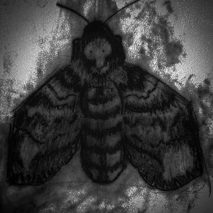 Deaths Head Hawk Goth | The Rafters