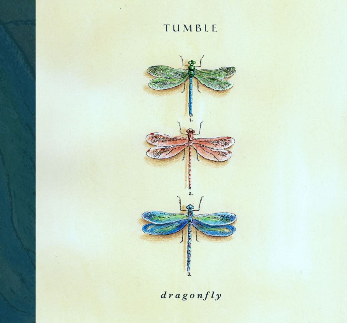 Dragonfly | Tumble