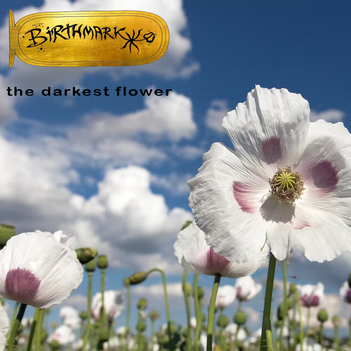 The Darkest Flower | Birthmark