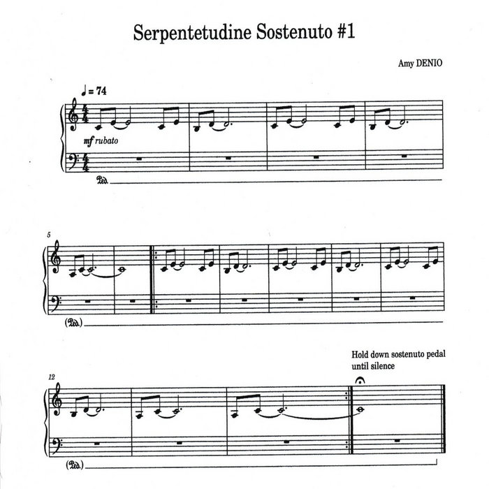 Serpentetudine Sostenuto | Amy Denio / Spoot Music