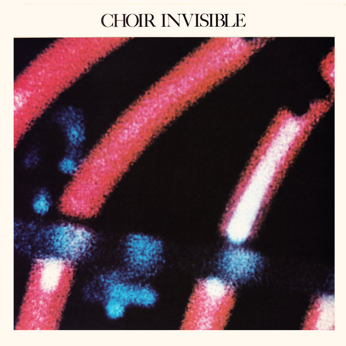 Choir Invisible | Choir Invisible