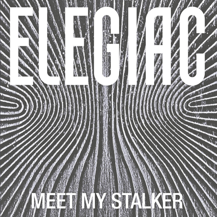 Meet My Stalker | Elegiac