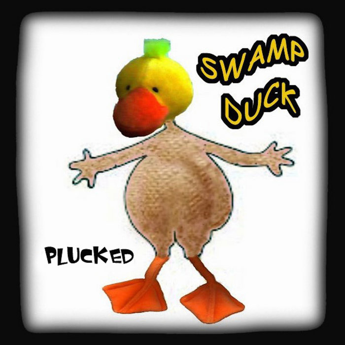 Plucked | Swamp Duck