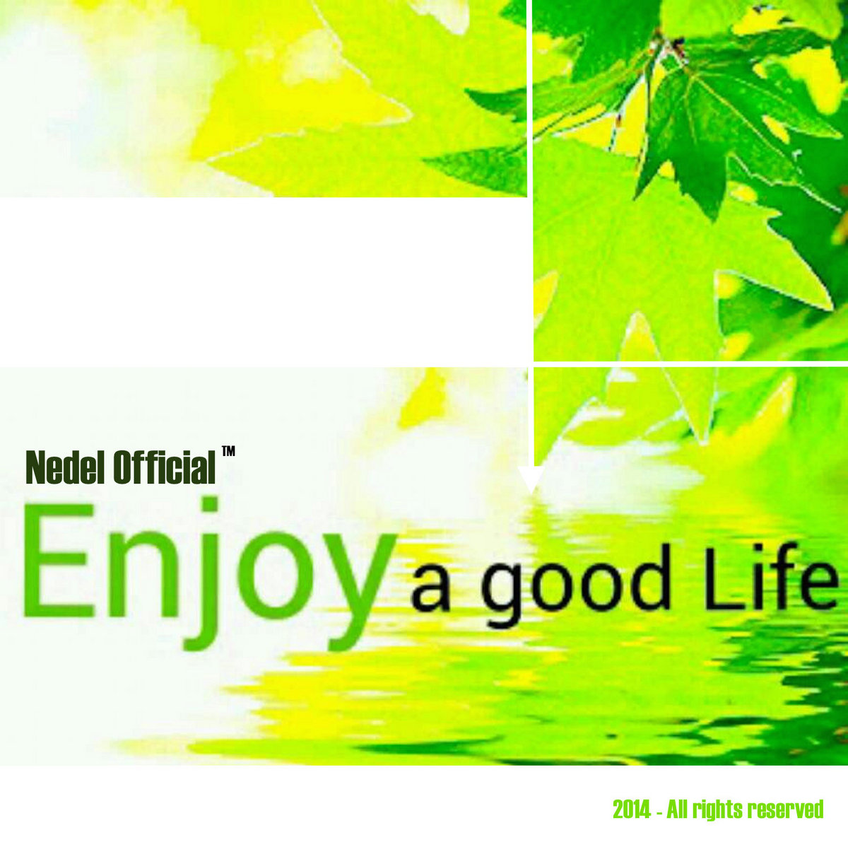 Enjoy a good Life (Album 2014) | Nedel Official | FDM studio production