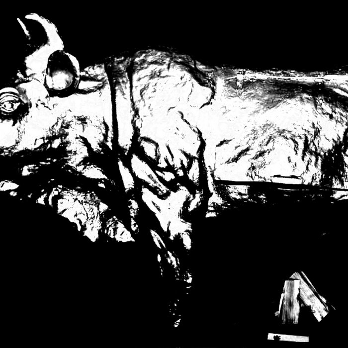 Torture | Errant Static