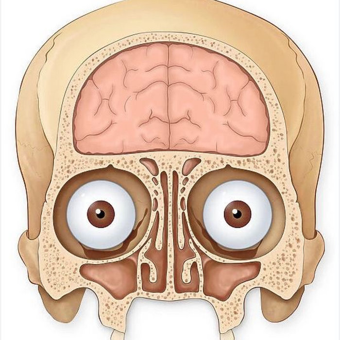 Nod to the Brain | Rik Irvine | Silo-SE8