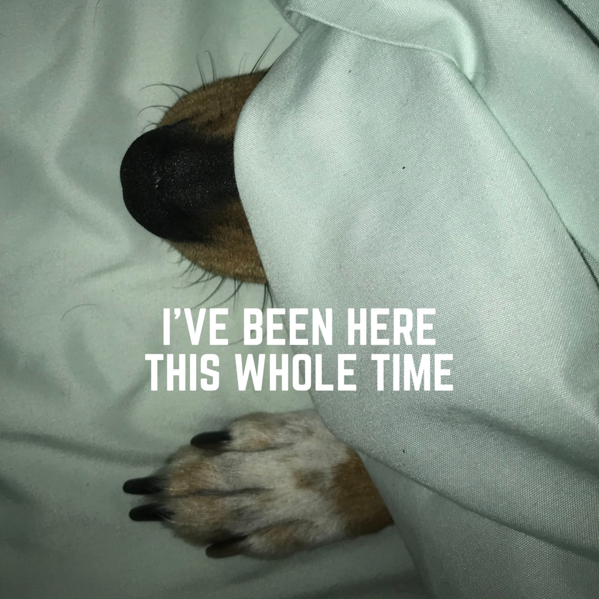 I've Been Here This Whole Time | Rachel Hirsh