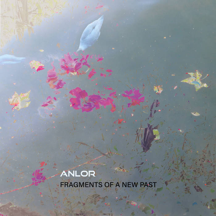Fragmented Photography Bodily Abstractions / Fragmented Anatomies