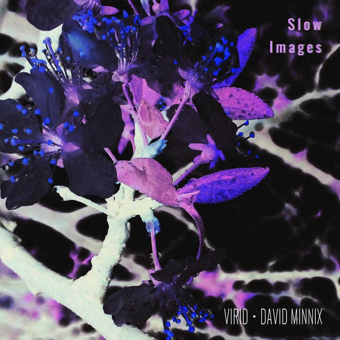 Slow Images | VIRID and David Minnix | VIRID