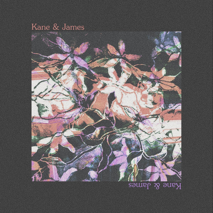Kane & James | Kane & James