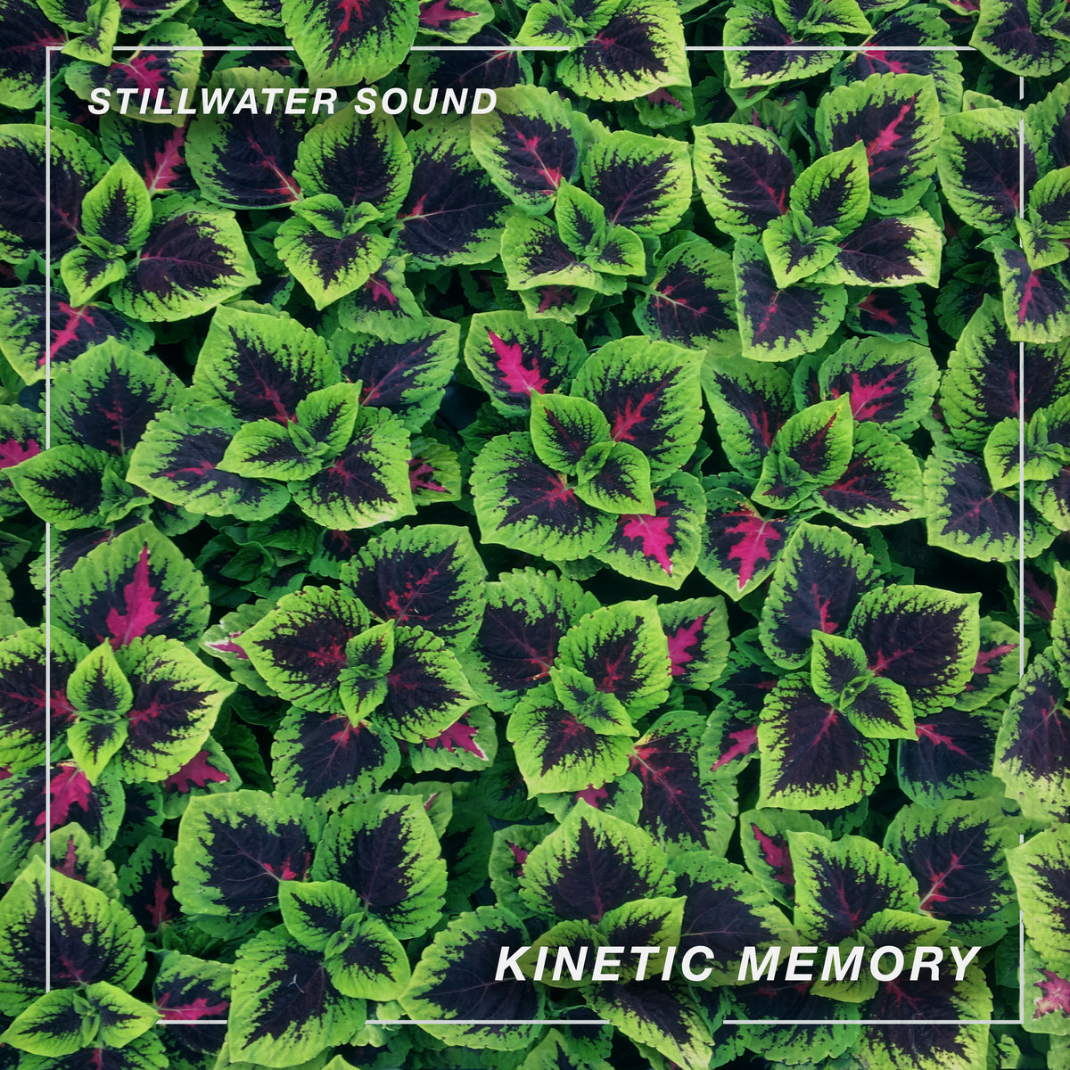 Kinetic Memory | Stillwater Sound