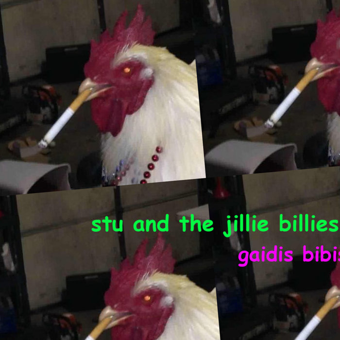 Gaidis Bibis (Instrumental) | Stu and the Jillie Billies