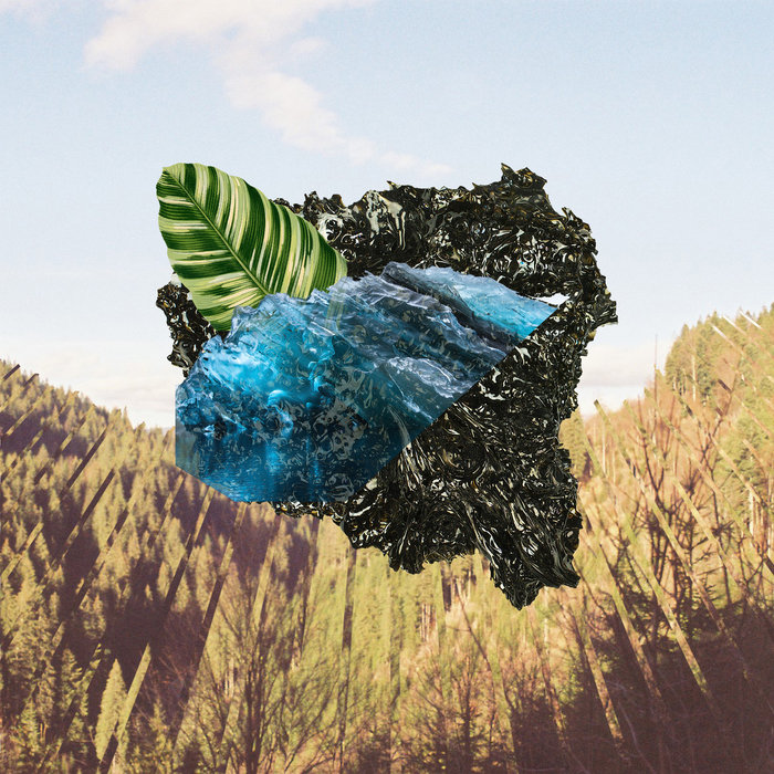 Chakora | Lights Out