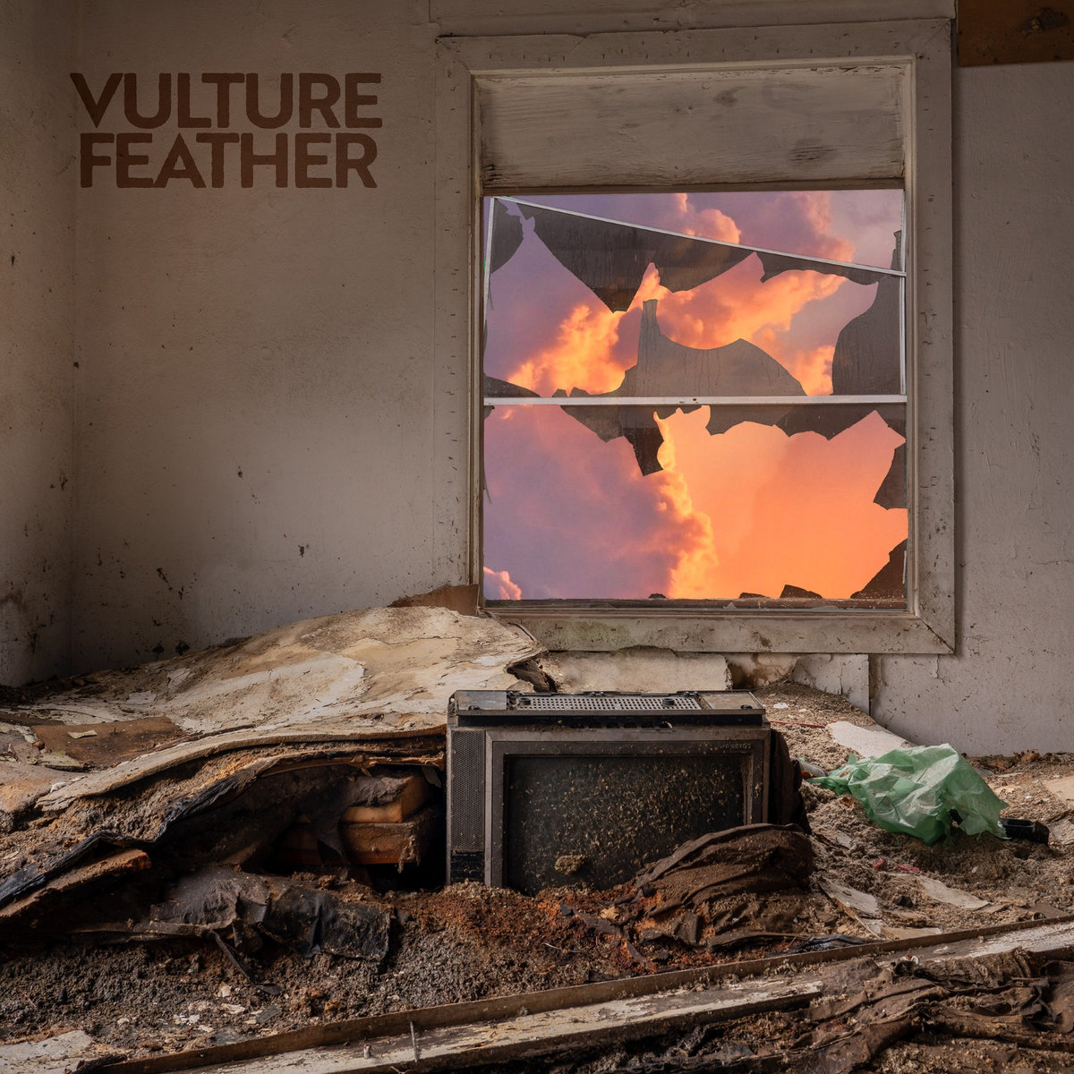 It Will Be Like Now | Vulture Feather