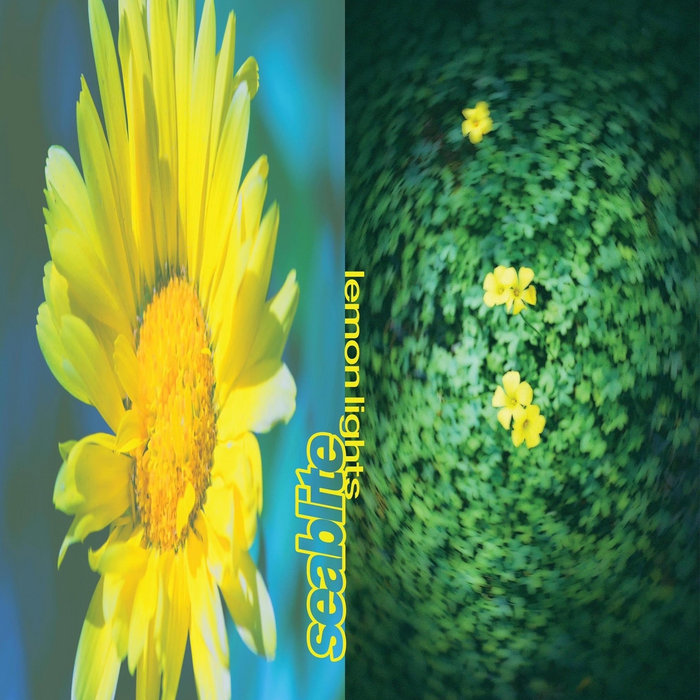 Lemon Lights | seablite
