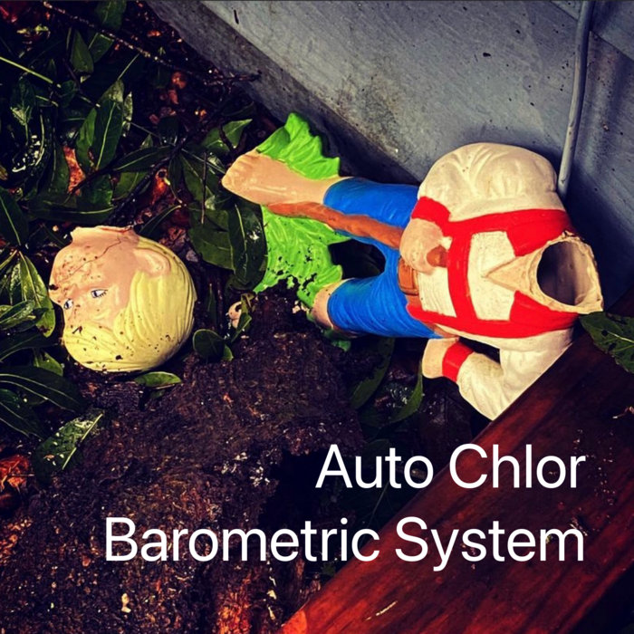 Barometric System | Auto Chlor