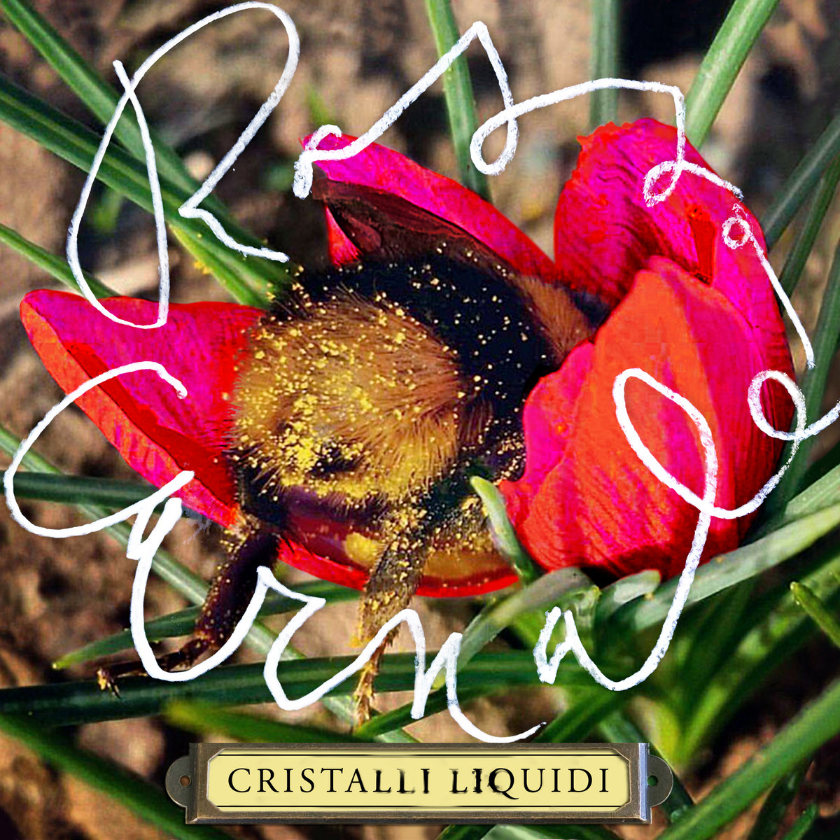 Rosso Carnale | Cristalli Liquidi + Deux Control | BOTTIN