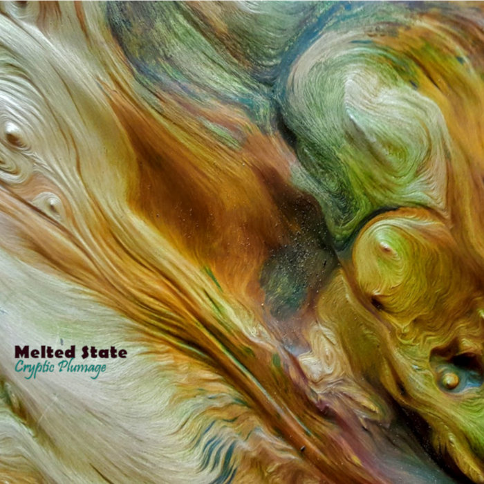 Melted State | Cryptic Plumage