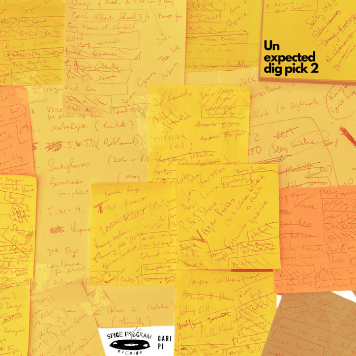 Unexpected Dig Pick 2 | Gari Pi | Spice Programmers