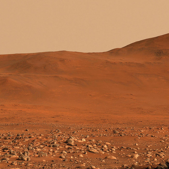 CLAYBORNE | Clayborne