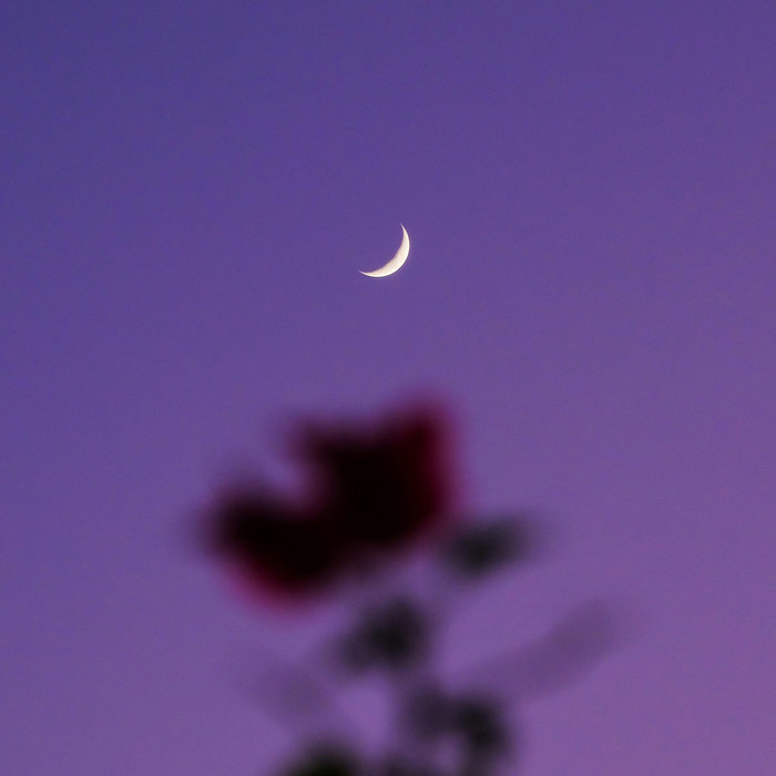 Valentin Calin - In my heart | Valentin Calin