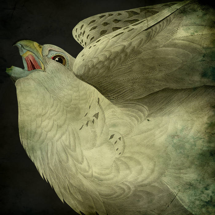 Manu EP | Professor Dynamite