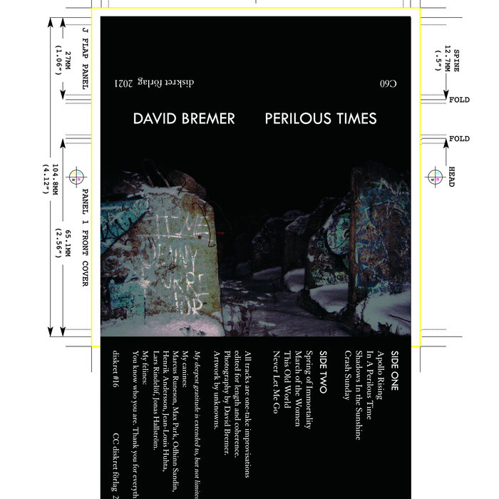David Bremer - Perilous Times, cass | David Bremer | diskret förlag