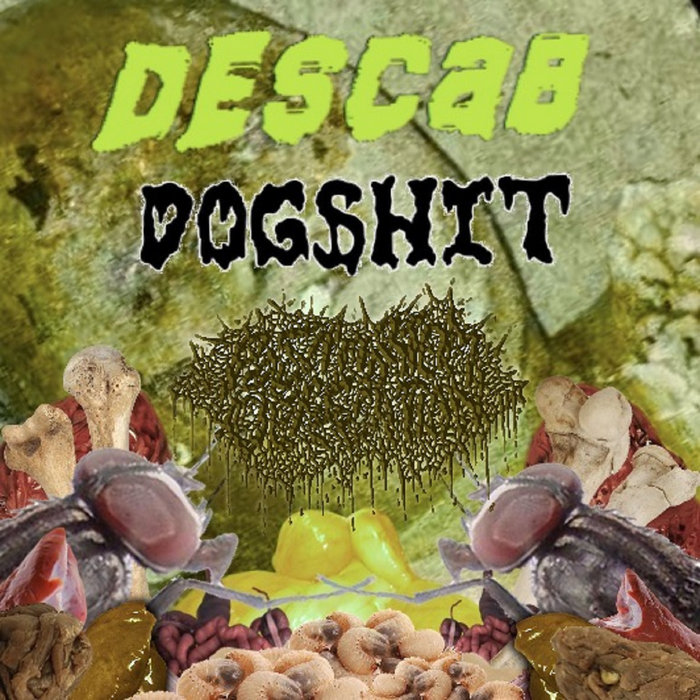 3-way split | Postmortem Defecation/DOGSHIT/Descab | TUMORALPINE ...