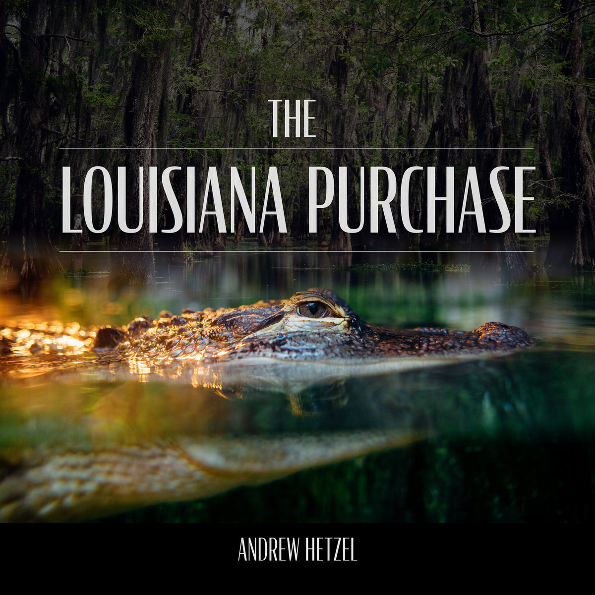The Louisiana Purchase | Andrew Hetzel