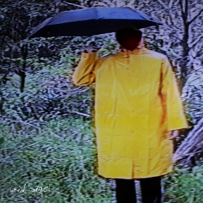 WEED ANGEL | R. Lovejoy | wifichamber