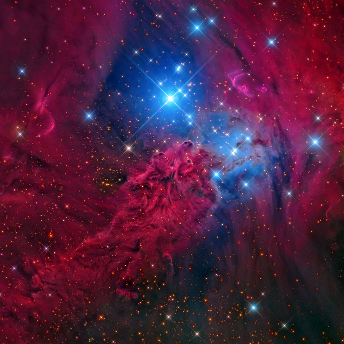 Fox fur nebula | TOUR OPERATOR