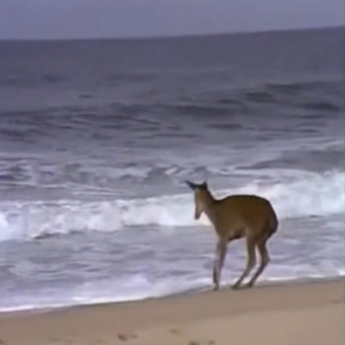 Slushwave 2020 (Second∞Sight Set) | Second∞Sight