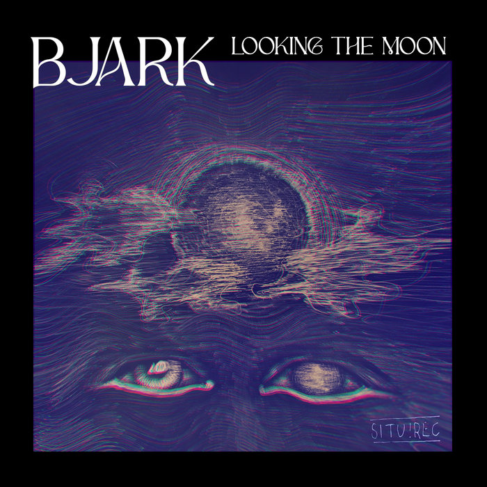 Looking the Moon | BJARK