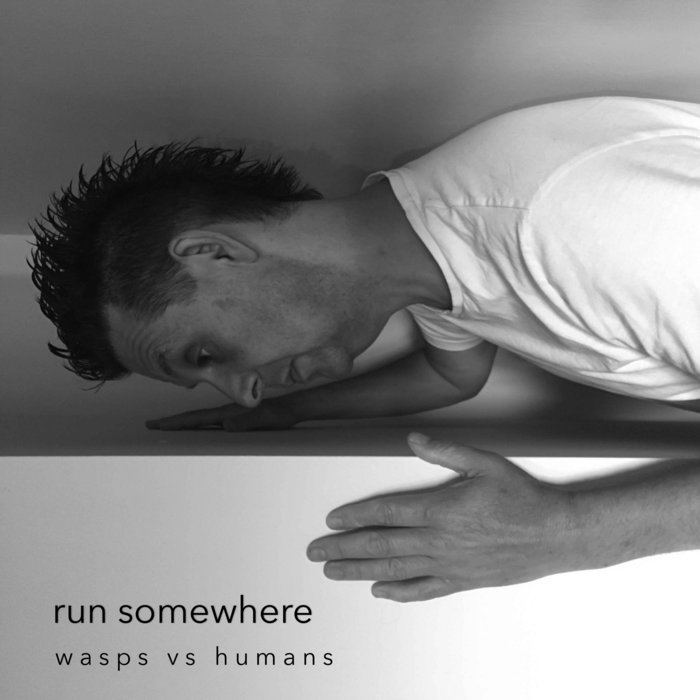 Run Somewhere (single) | Wasps vs Humans