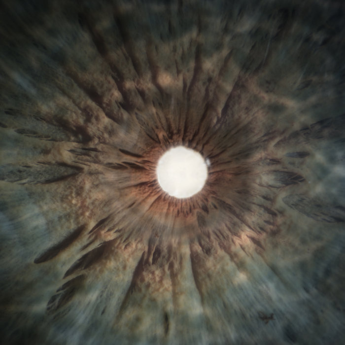 Emergence of the Inner Eye | The Road Up North