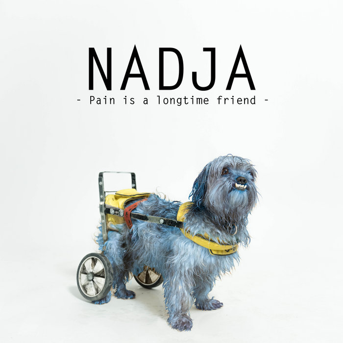 Pain Is A Longtime Friend (EP 2019) | NADJA | Nadja