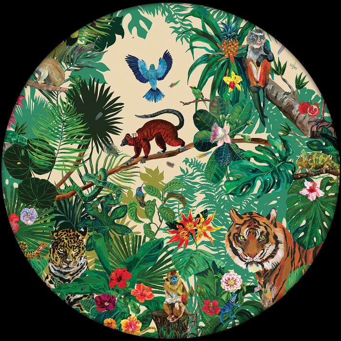 Trouble in the Jungle | Cojoc