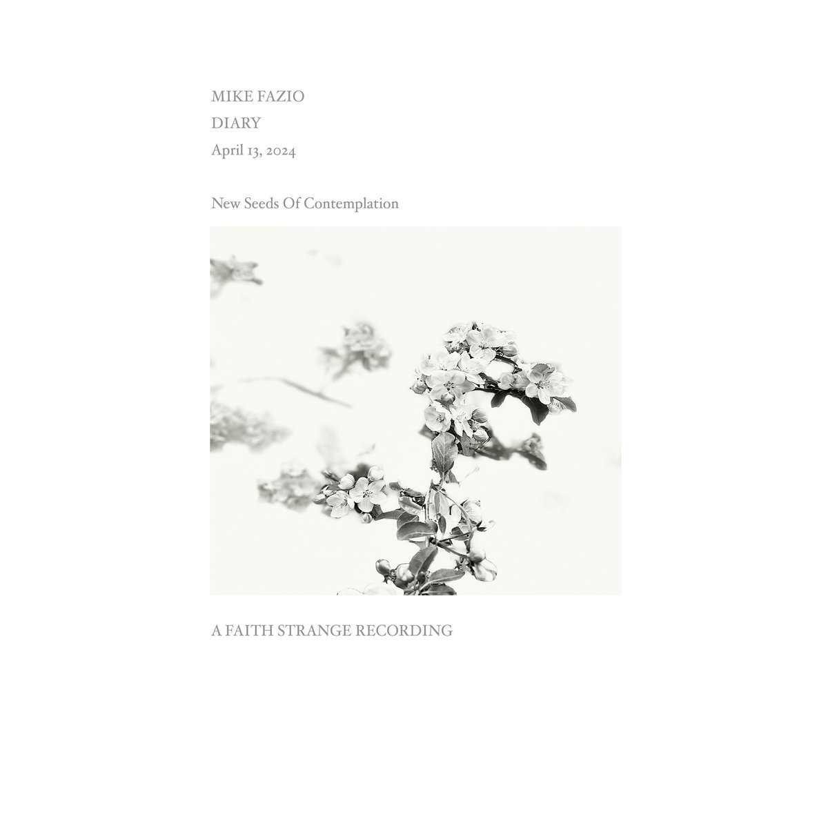 New Seeds Of Contemplation | Mike Fazio | faith strange