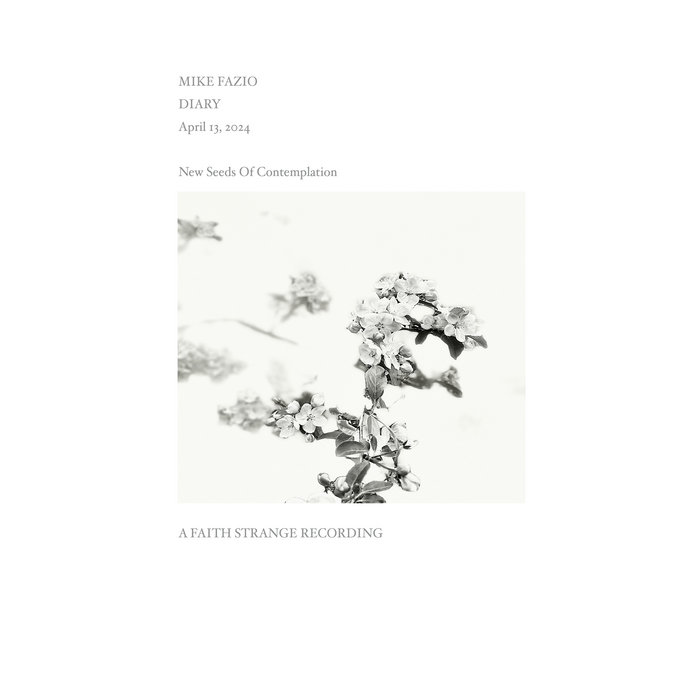 New Seeds Of Contemplation | Mike Fazio | faith strange
