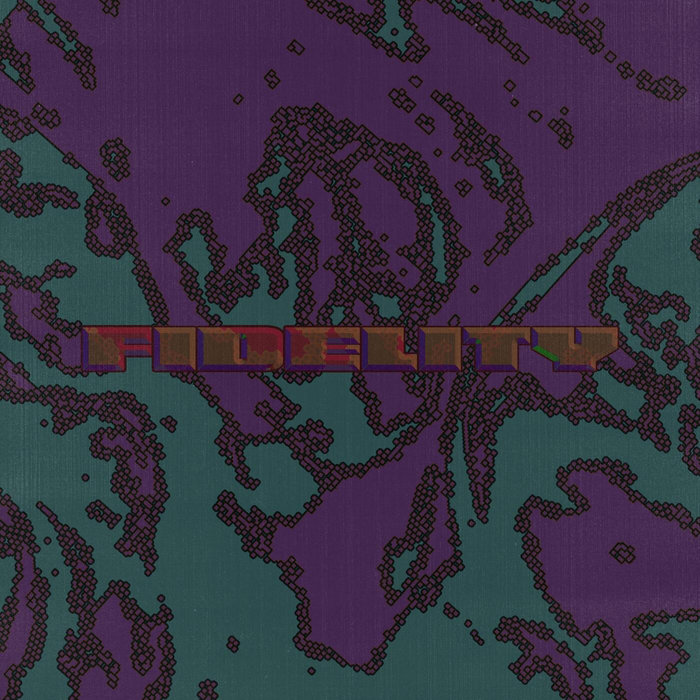 Fidelity | not even noticed