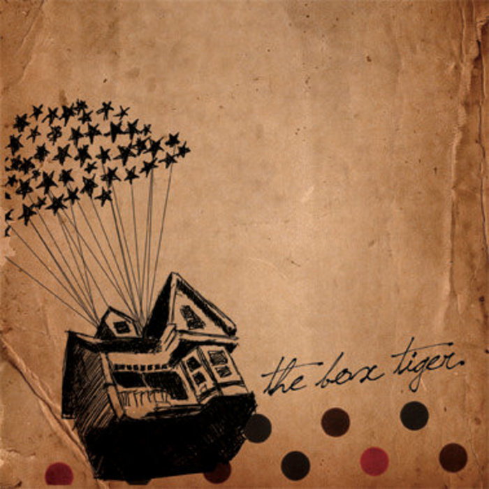 The Box Tiger | The Box Tiger