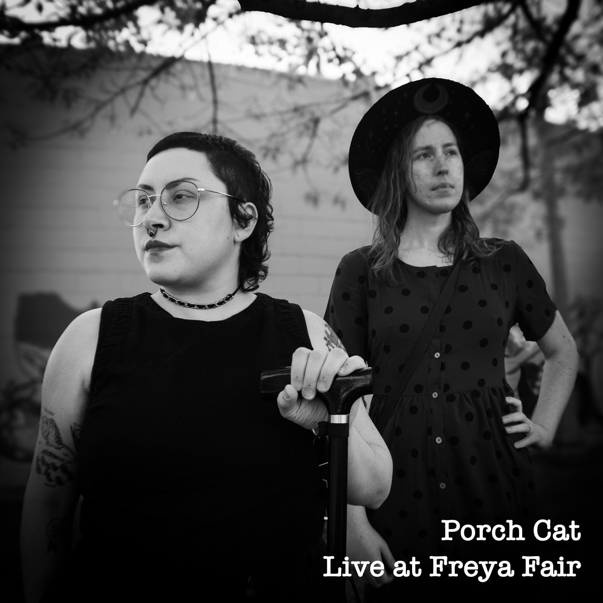 Live at Freya Fair | Porch Cat