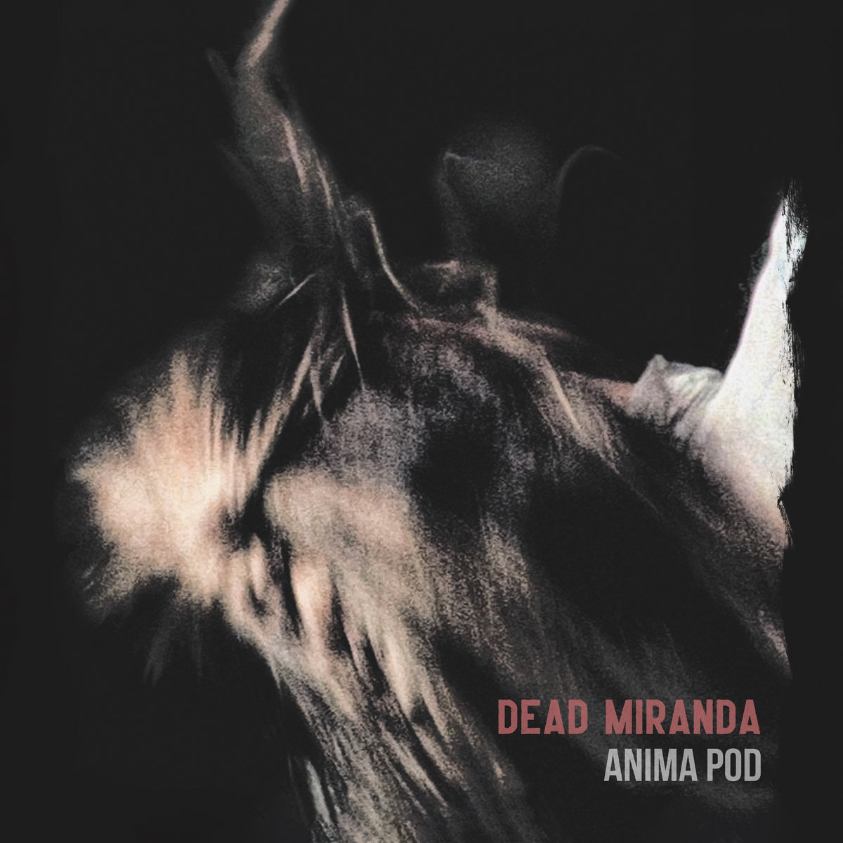 Anima Pod | Dead Miranda