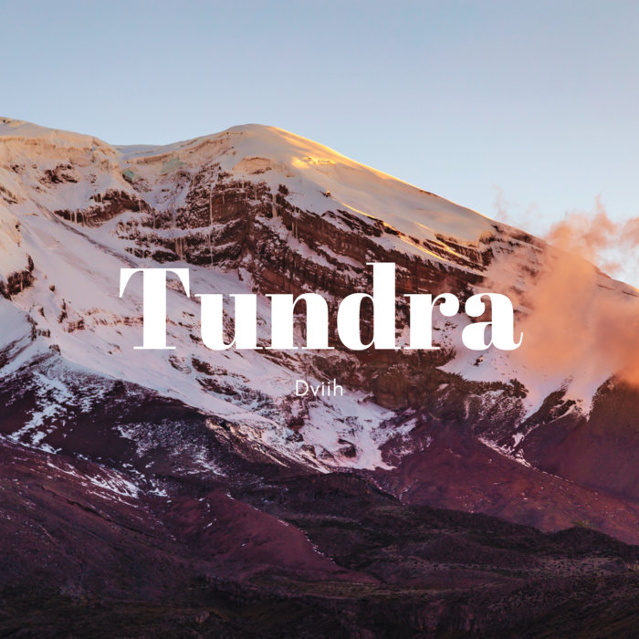 Tundra | Dviih