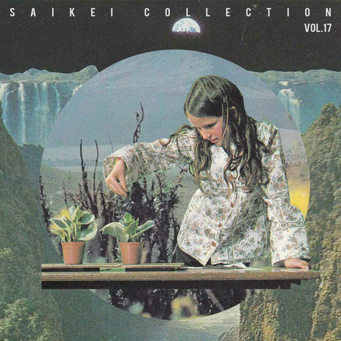 Saikei Collection Vol. 17 | saikei collective