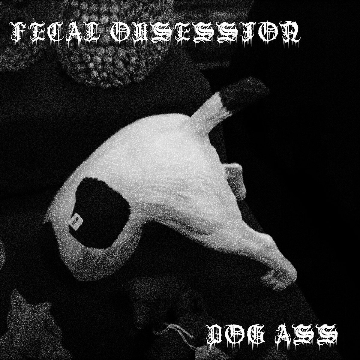 DOG ASS | Fecal Obsession