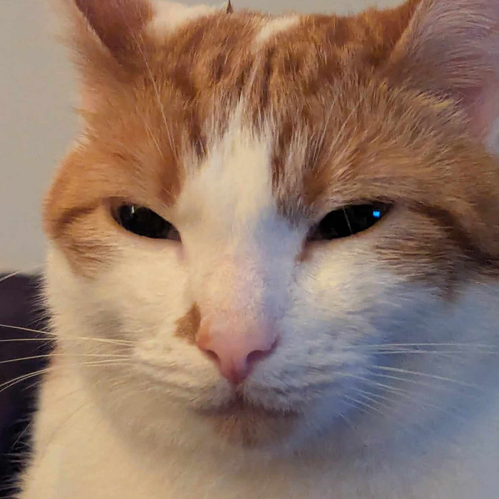 dubs & tunes 2016-24 | Industry Plant