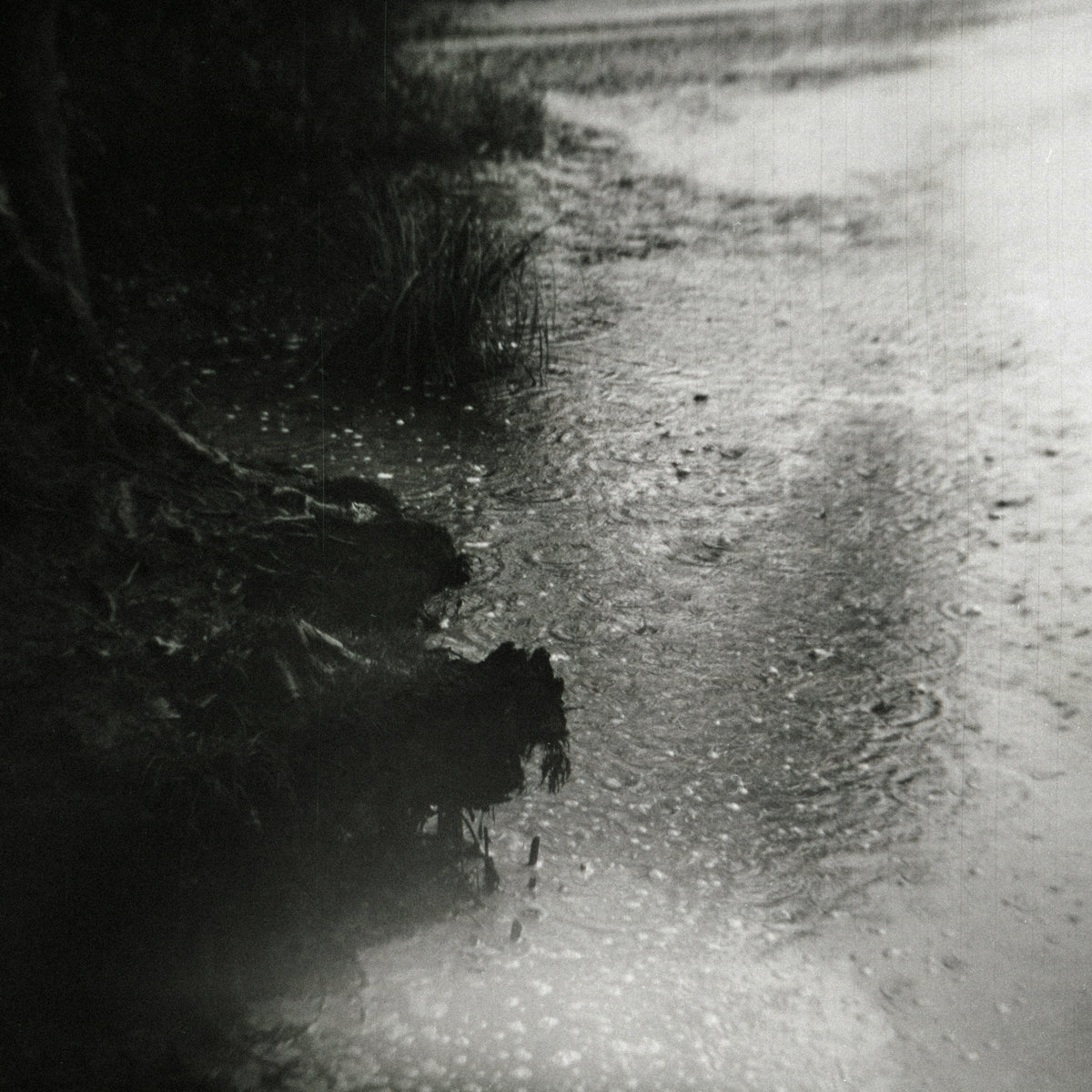 Age of Abandonment | The Lonely Bell