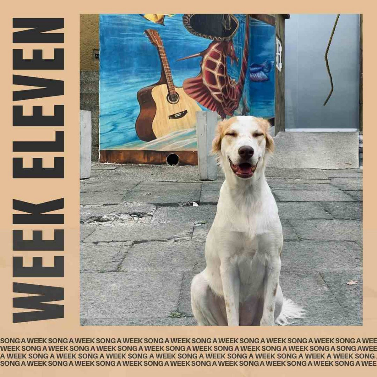 Week 11 | Song a Week Round 2