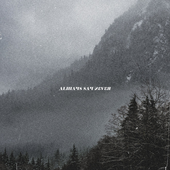 always say never | always say never